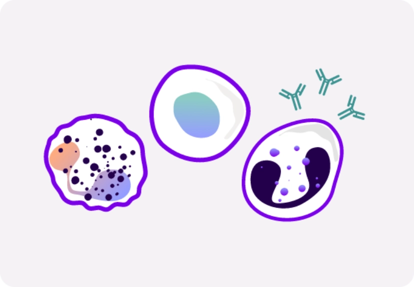 Sanofi - Overview of Therapeutic Areas