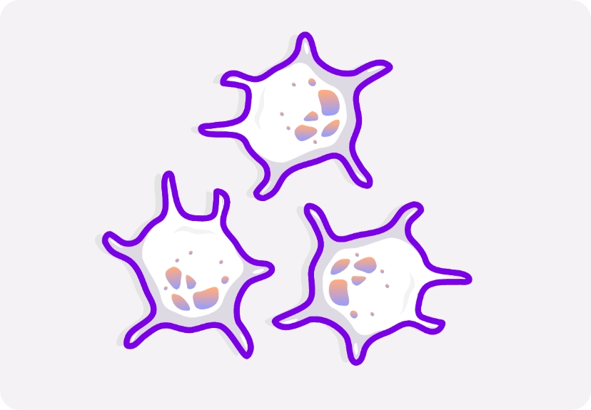 Sanofi - Therapeutic Areas - Rare Blood Disorders